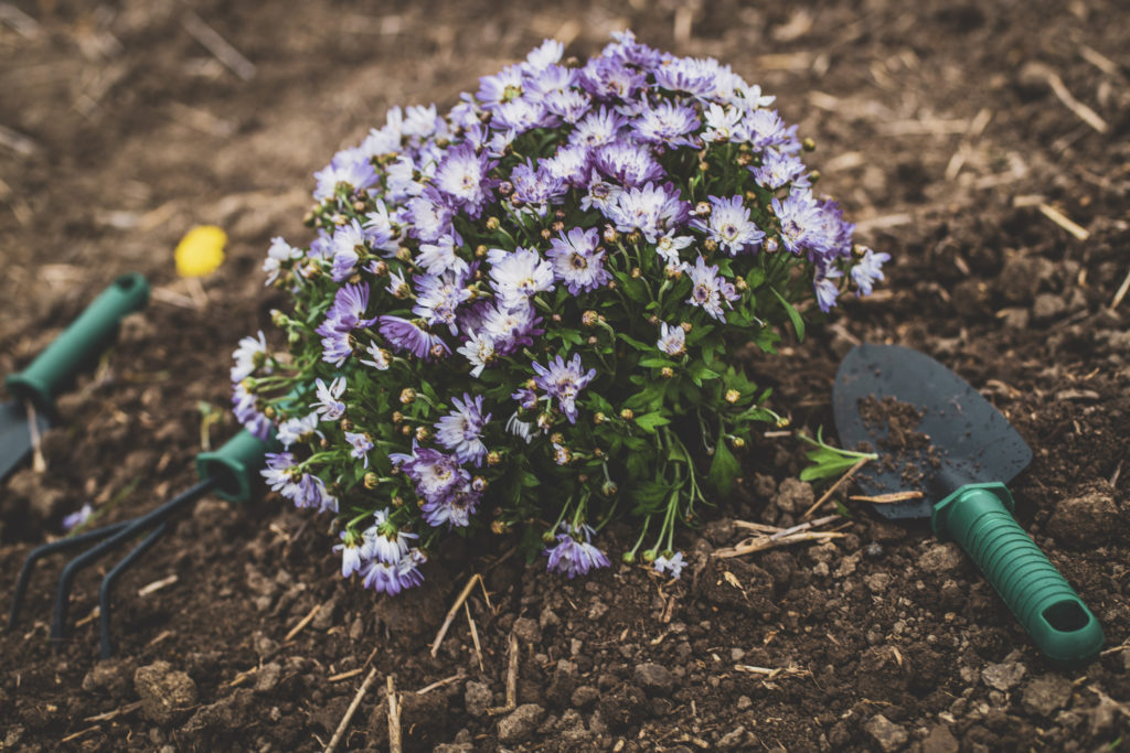 Willkommen - MaD Service